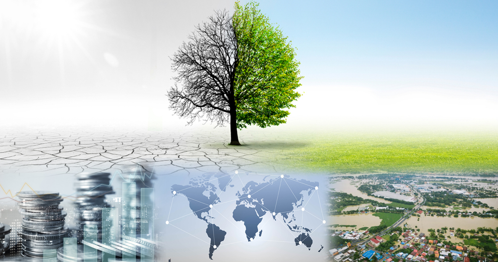 Resilient and Adaptive Population in Disaster (RAPID) - NDRMF - National Disaster & Risk ...